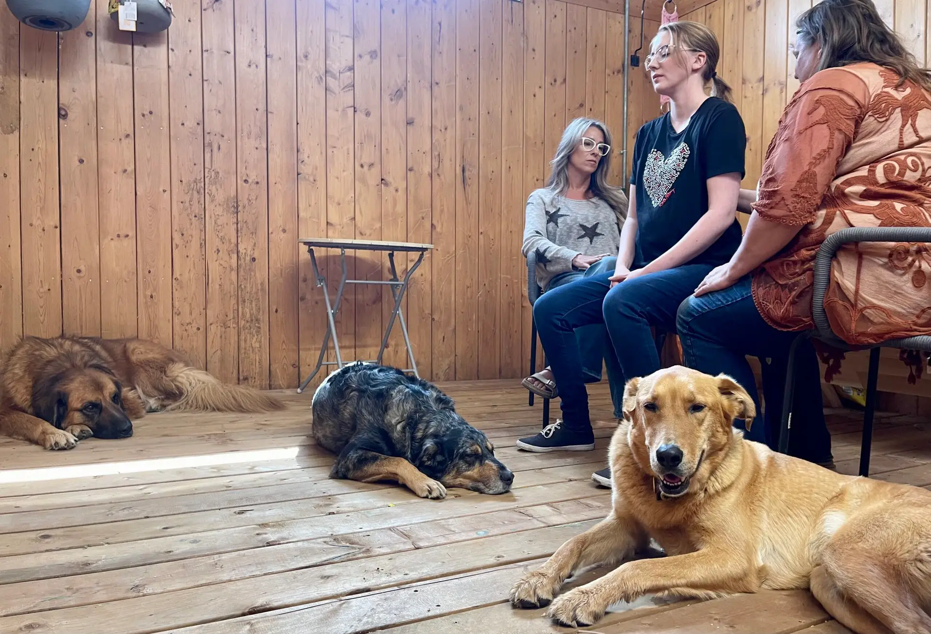 Mind Body Integration Session Mind Body Integration Session